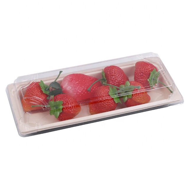 Wholesale Biodegradable Sugarcane Pulp Sushi Container with PET Lid ...