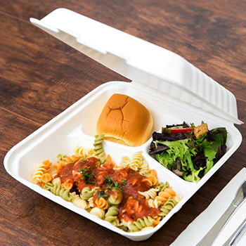 Bagasse food packaging: An Eco-friendly Solution For Sustainable ...